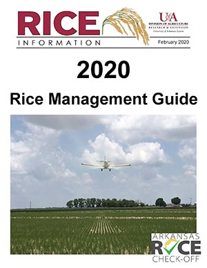 Rice varieties for Missouri | MU Extension