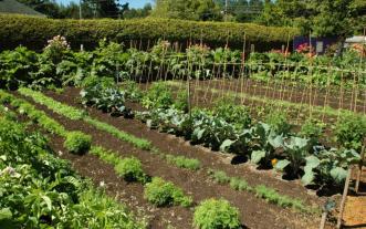 Homepage | MU Extension