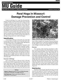 Wildlife damage management | MU Extension
